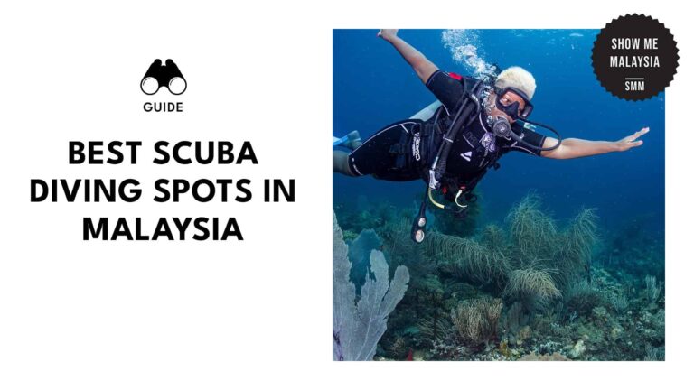 12 Scuba Diving Sites in Malaysia You NEED To Check Out! [2026 ]