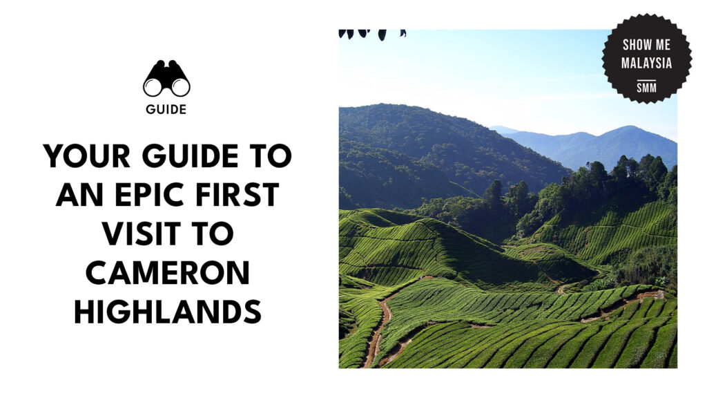 How to Have THE Best Time at Cameron Highlands [2026]
